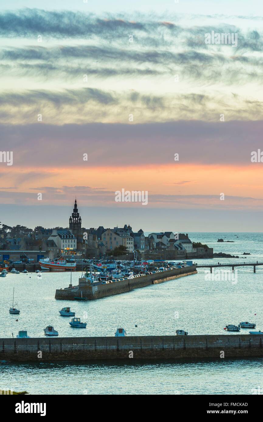 France, Finistere, Iroise Sea, Roscoff, the fishing harbour, the ...
