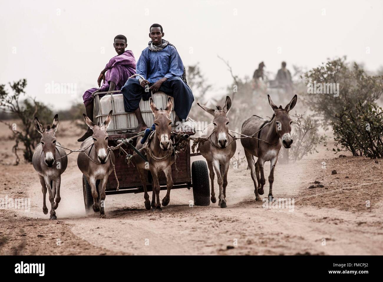 Senegal, Sahel, Ferlo region, Widou Thiengoly, Fetching water Stock ...