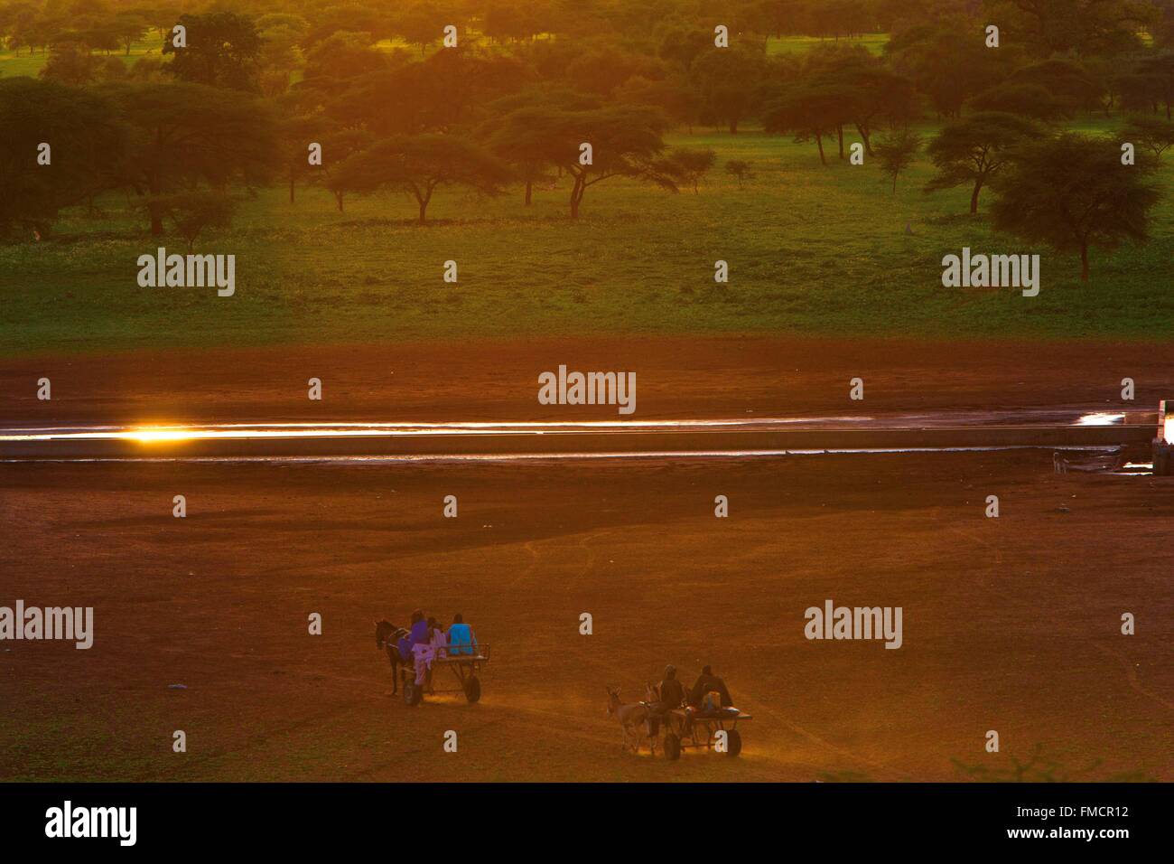 Senegal, Sahel, Ferlo region, Widou Thiengoly, Typical landscape of the ...