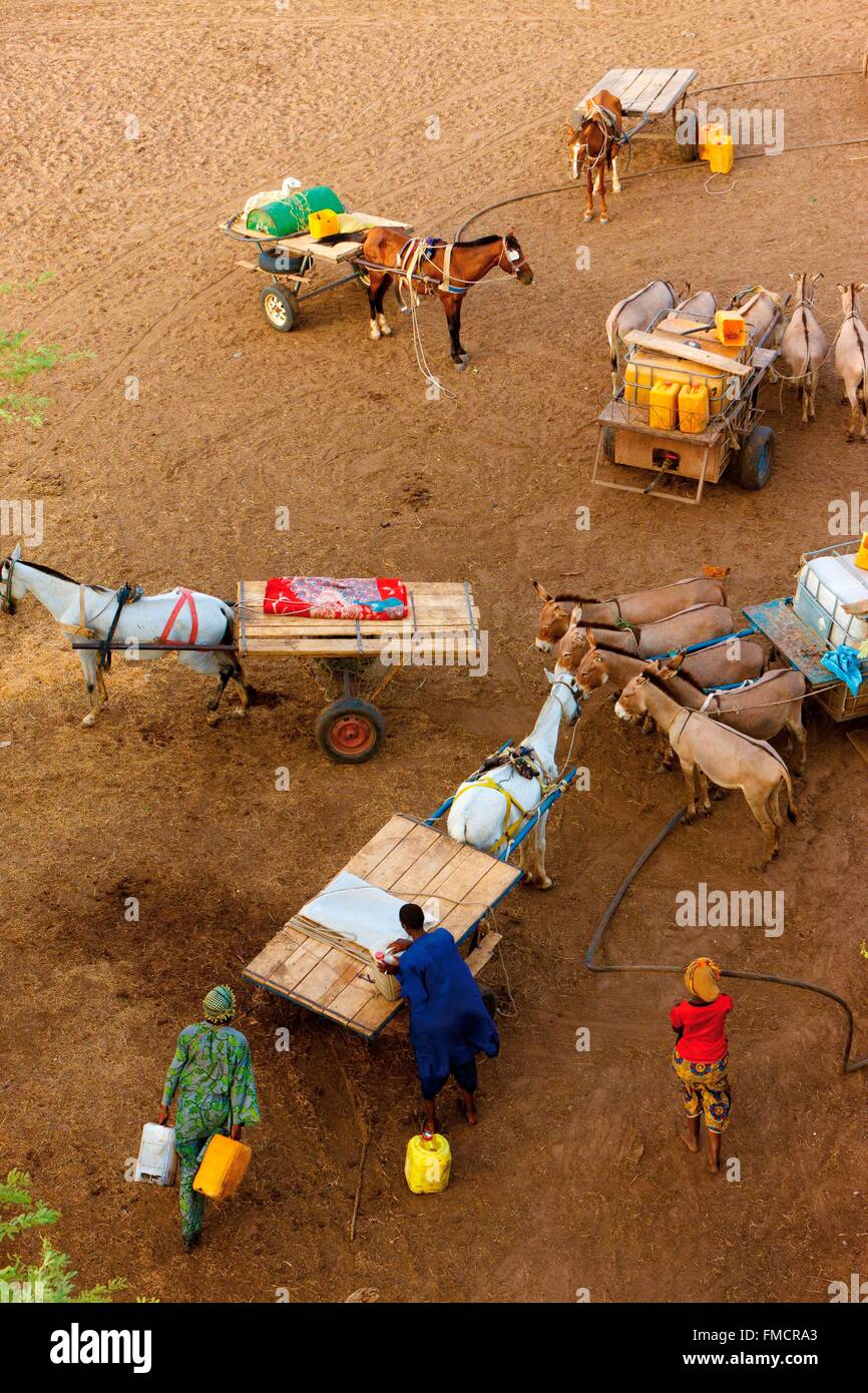 Senegal, Sahel, Ferlo region, Widou Thiengoly, Fetching and carrying ...