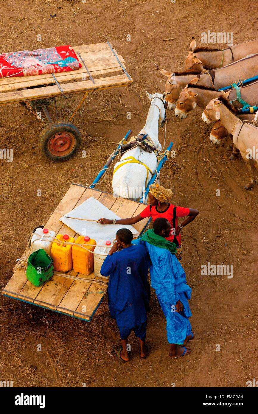 Senegal, Sahel, Ferlo region, Widou Thiengoly, Fetching and carrying ...