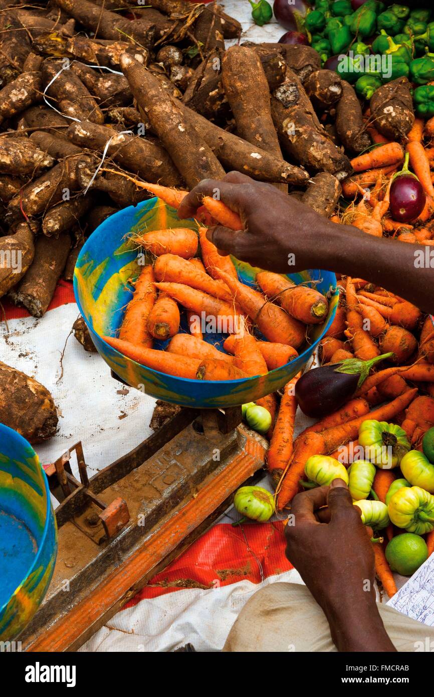 Senegal, Sahel, Ferlo region, Widou Thiengoly, Assorted vegetables ...