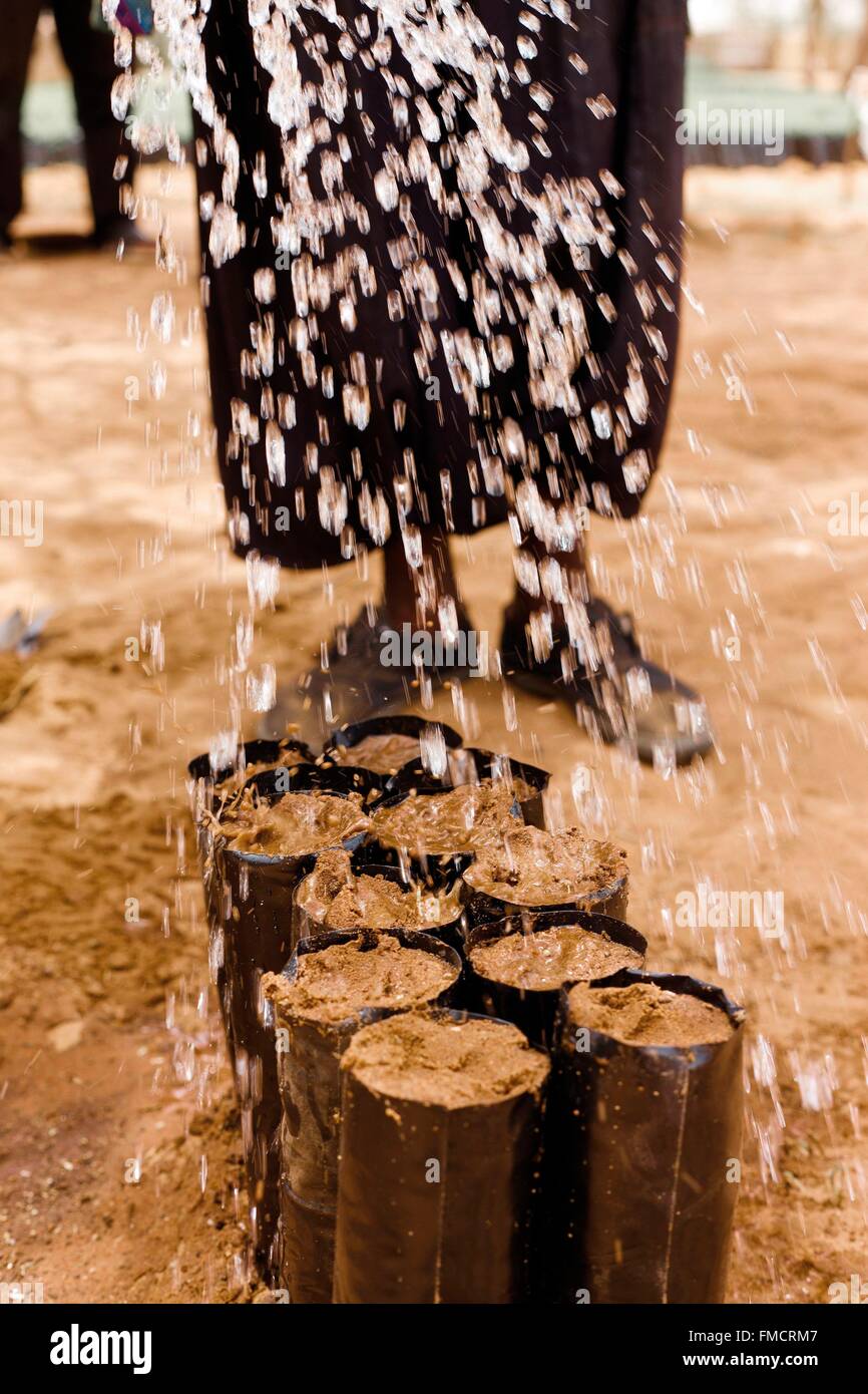 Senegal, Sahel, Ferlo region, Widou Thiengoly, Buckets containing ...