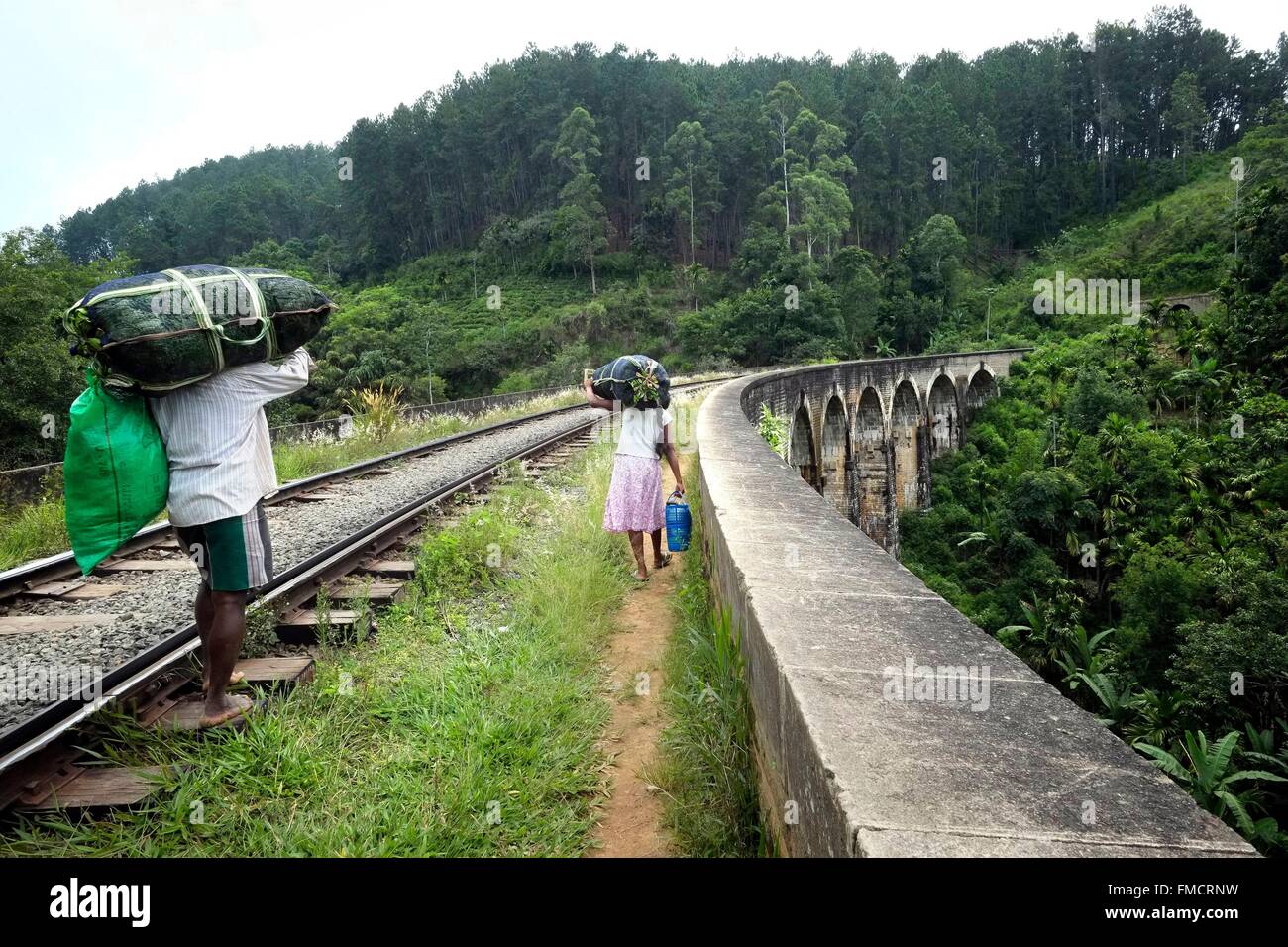 Sri Lanka, Uva Province, Badulla District, Ella, on the Nine Arches ...