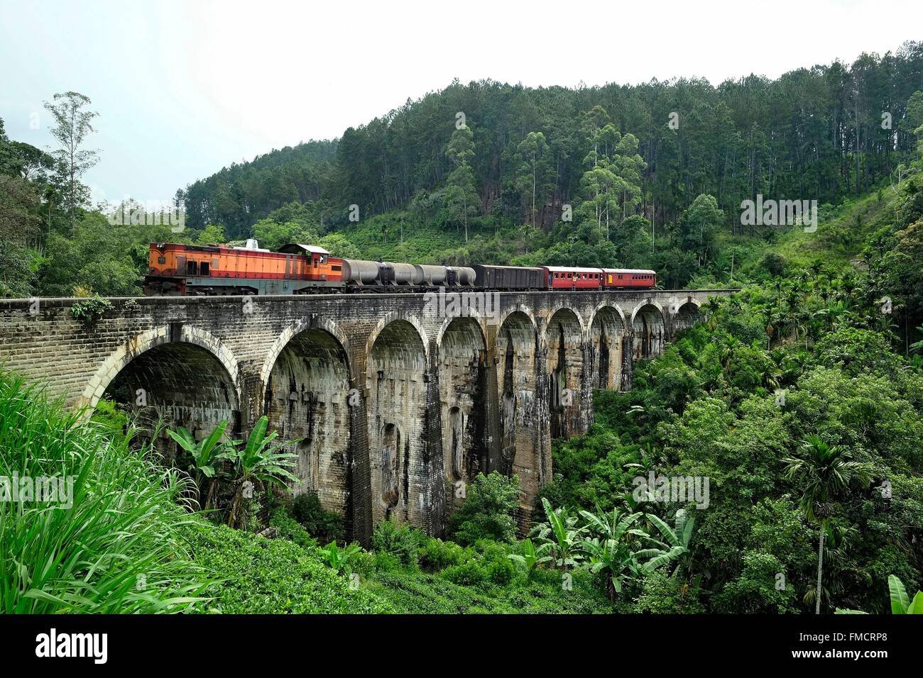 Sri Lanka, Uva Province, Badulla District, Ella, train Ella-Colombo, a ...