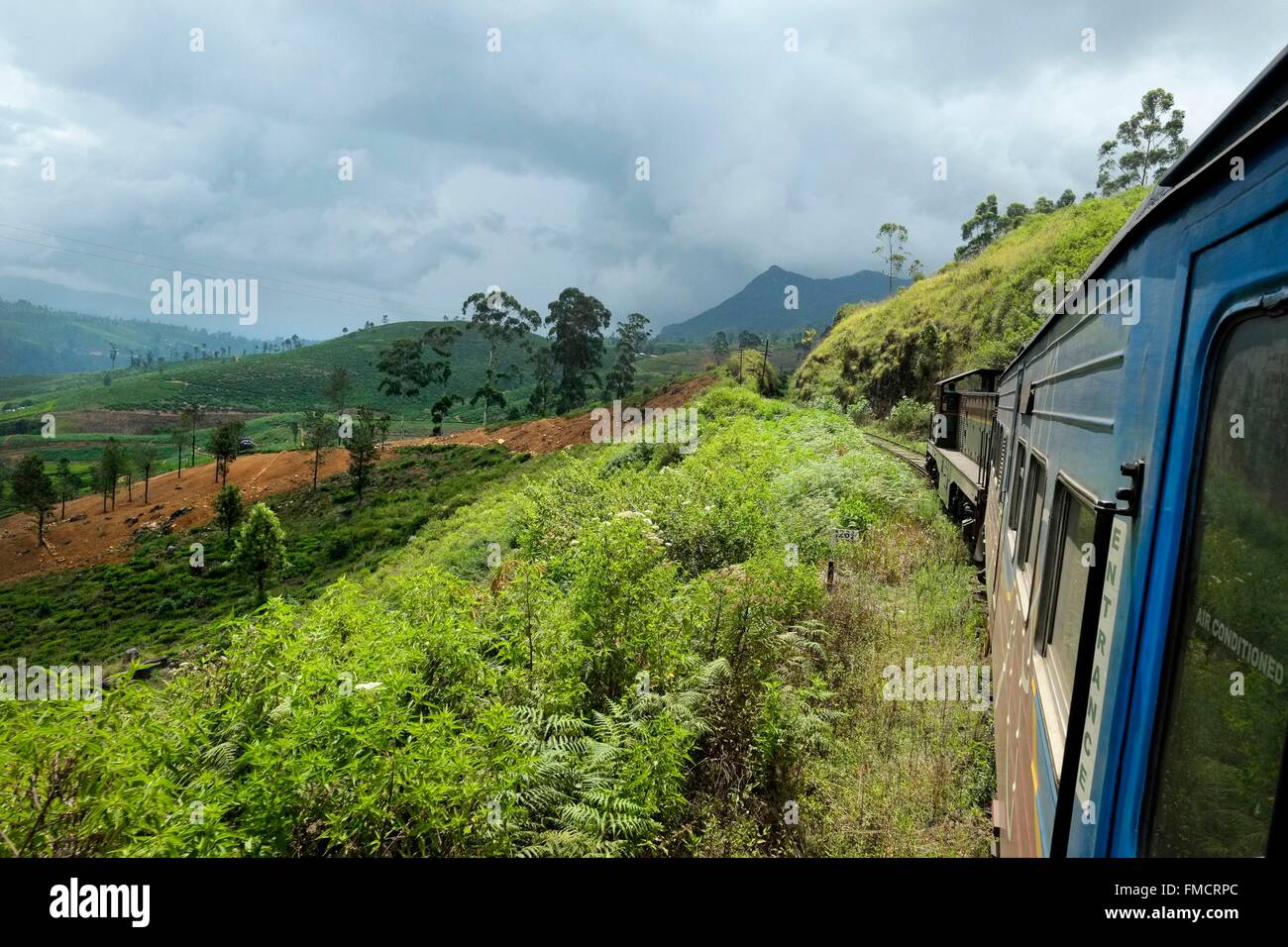 Ella Tea Plantations Sri Lanka High Resolution Stock Photography and ...