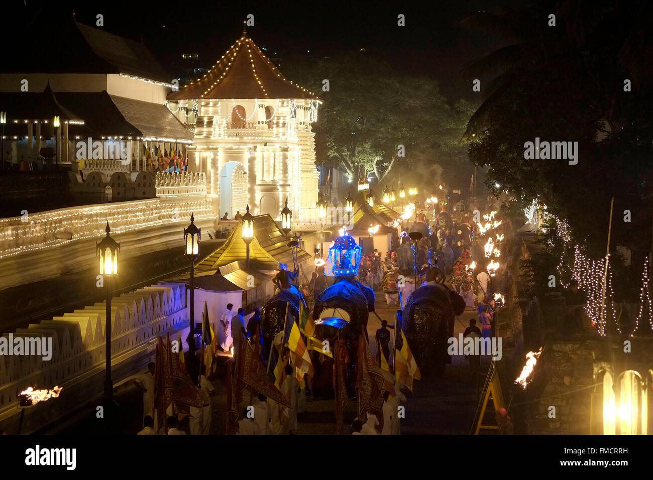 Kandy Esala Perahera Elephant High Resolution Stock Photography and ...