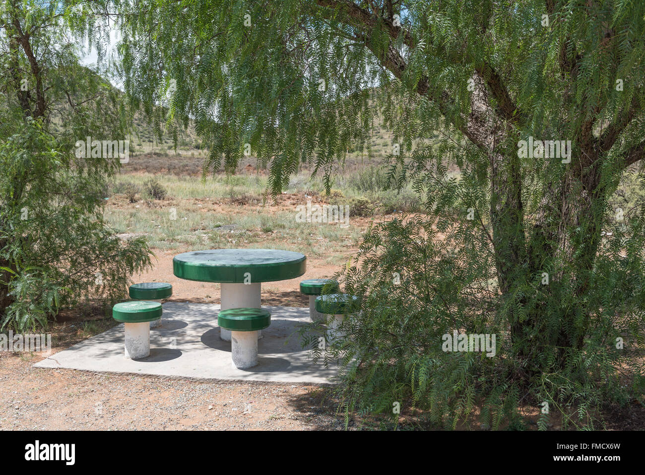 A shaded picnic spot next to the road between Steynsburg and Hofmeyer ...