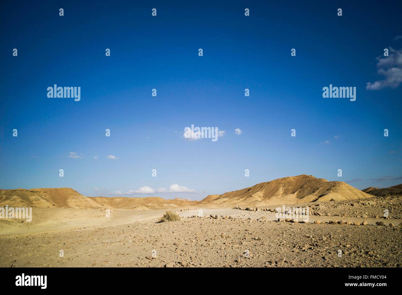 Israel, Mitzpe Ramon, Neguev desert, Makhtesh Ramon Stock Photo - Alamy