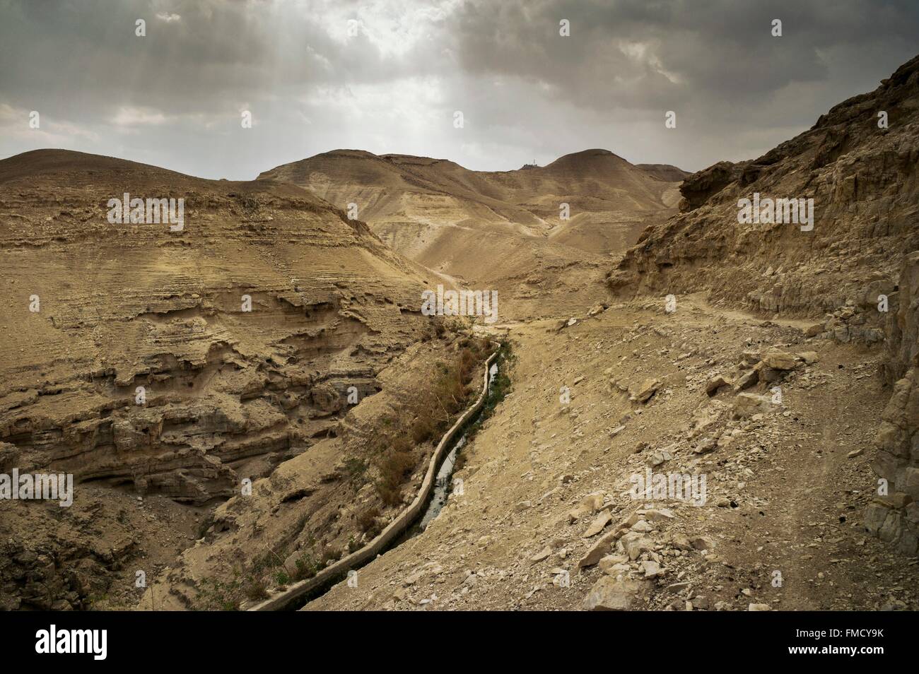 Israel, Palestine, the West Bank ( litigious territory), Juda's desert ...