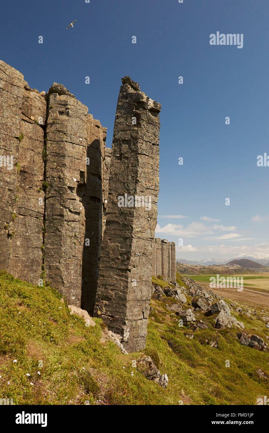 Basalt columns gerduberg snaefellsnes peninsula hi-res stock ...