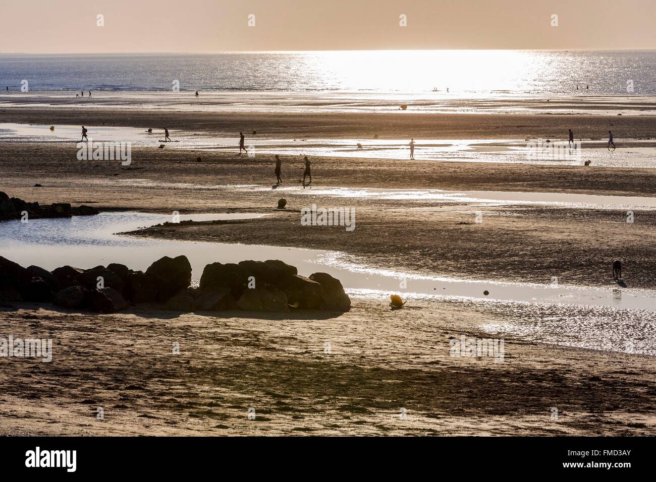 France, Calvados, Pays d'Auge, the cote Fleurie (Flowered coast ...
