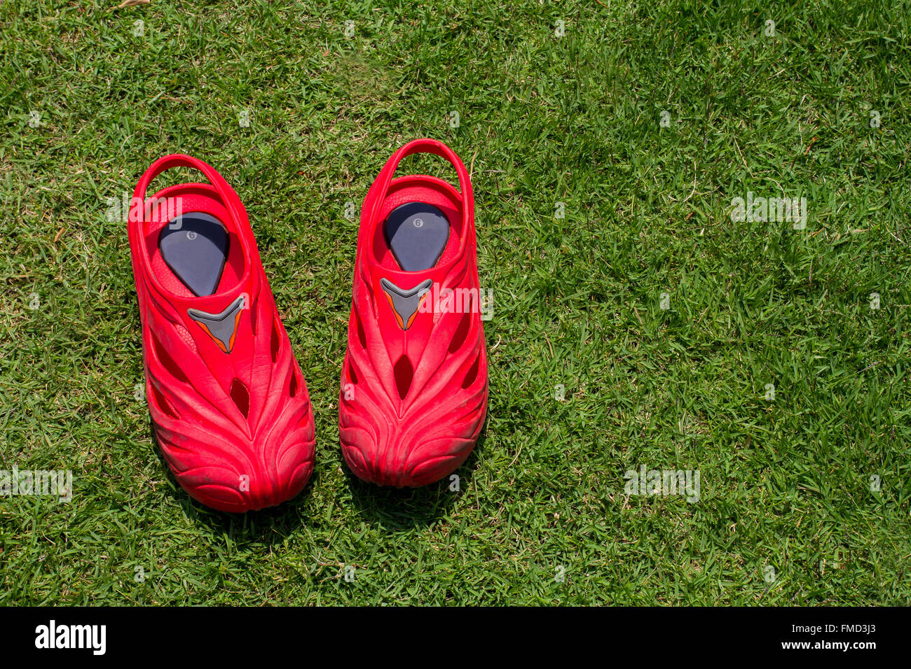 red slippers on the lawn in summer Stock Photo - Alamy