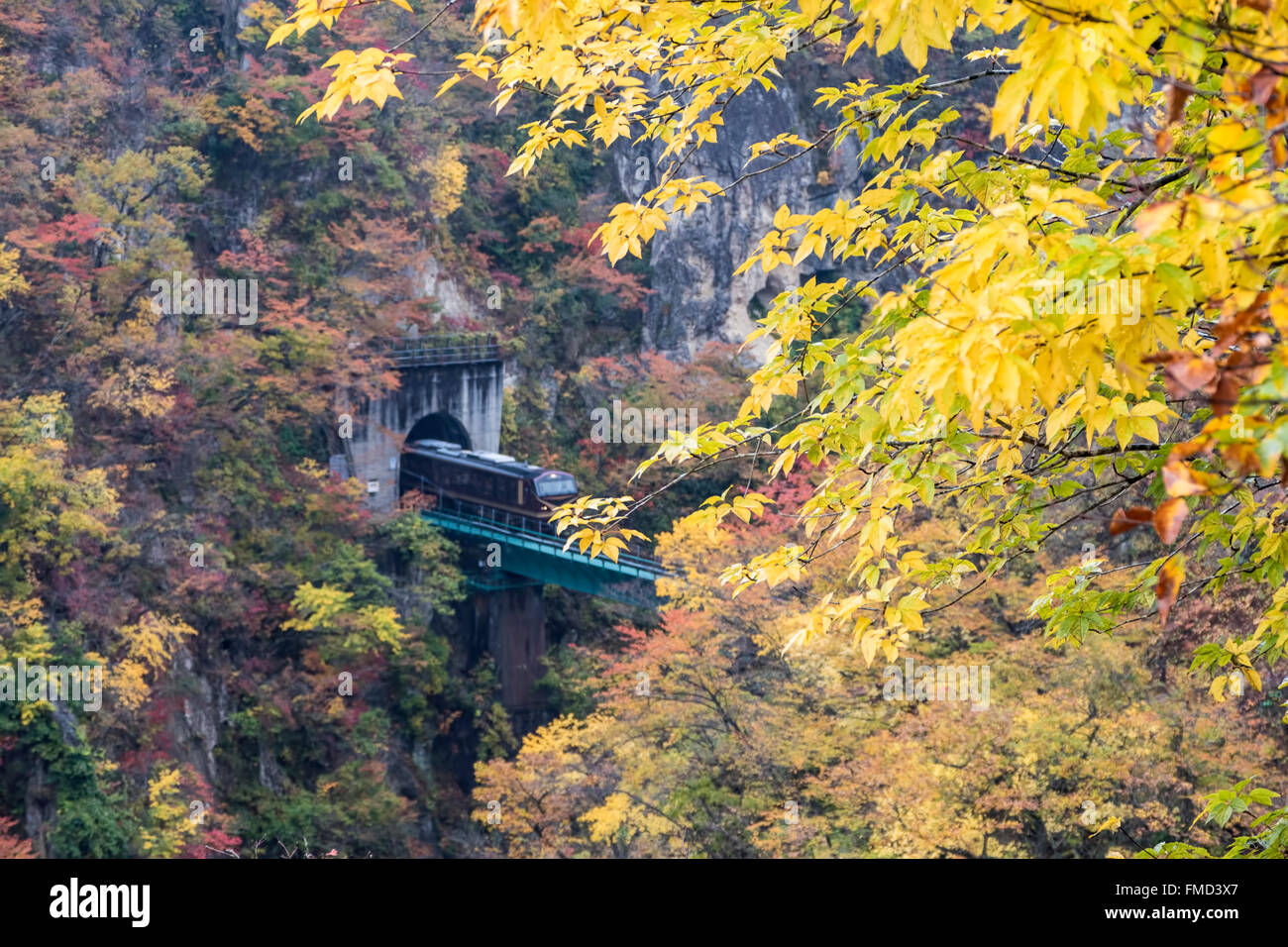 Sendai japan autumn hi-res stock photography and images - Alamy