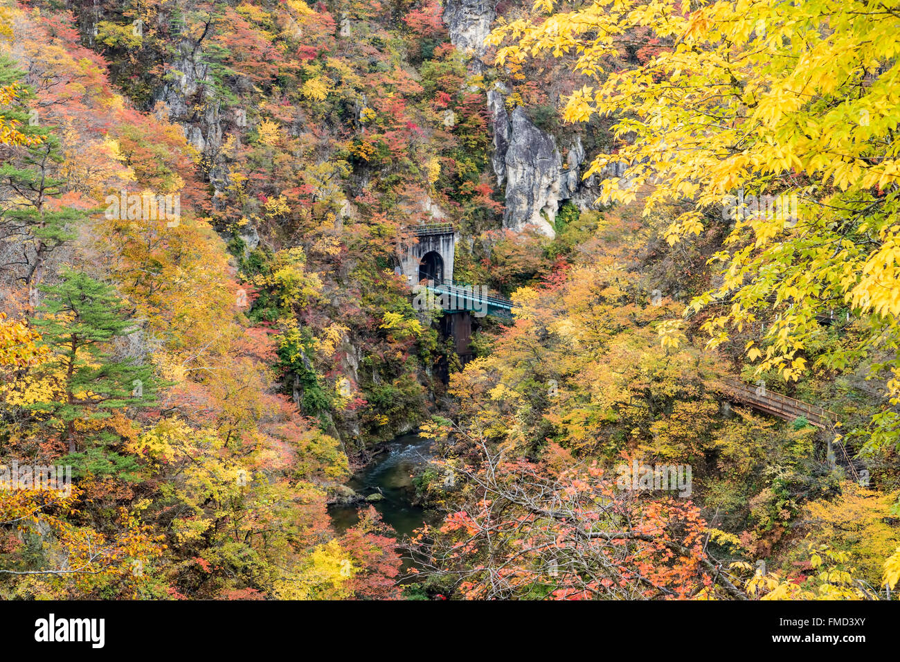 The Naruko Gorge Autumn leaves in the fall season, Japan Stock Photo ...