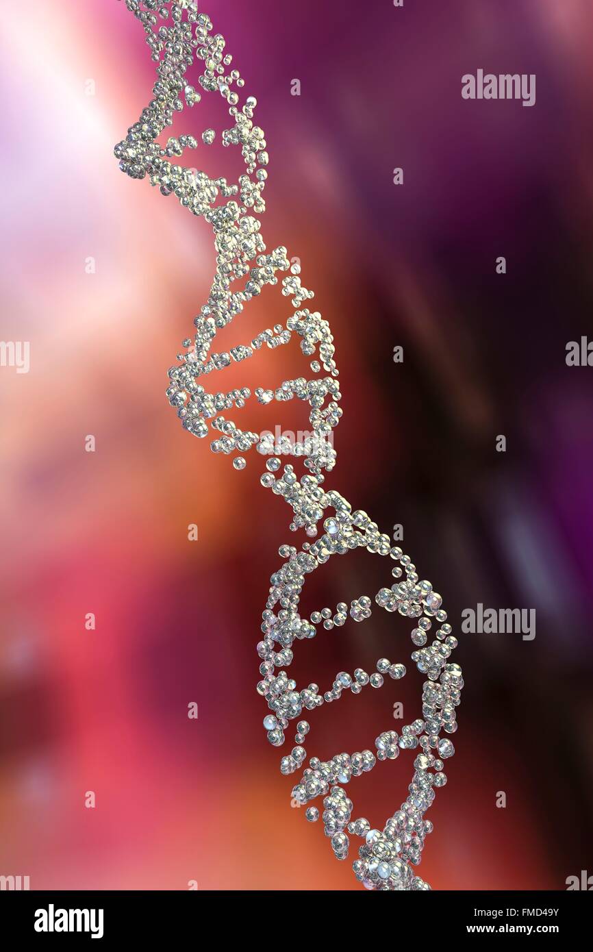 DNA molecule. Computer illustration of a double stranded DNA ...