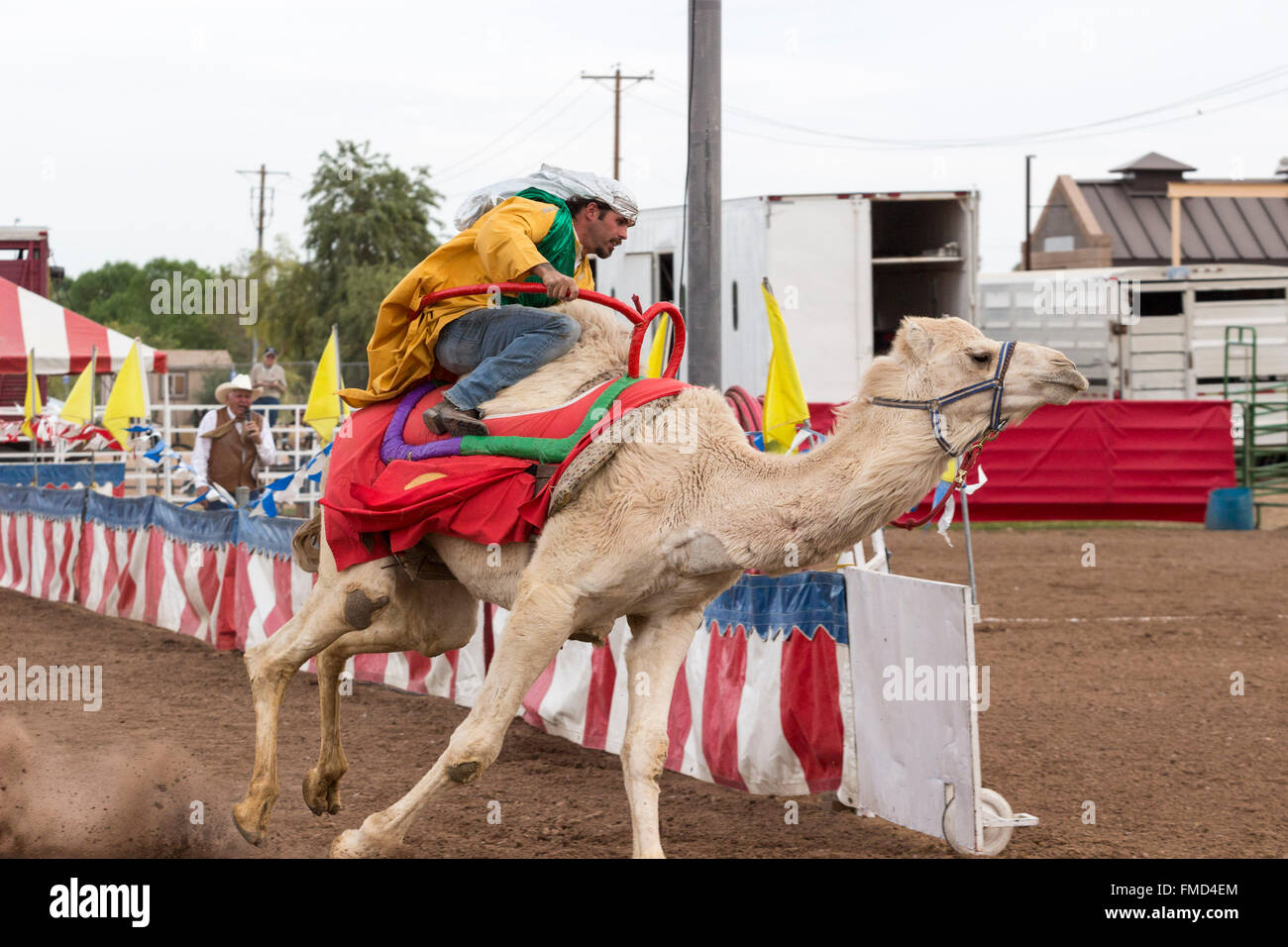 Camel Racer High Resolution Stock Photography and Images - Alamy