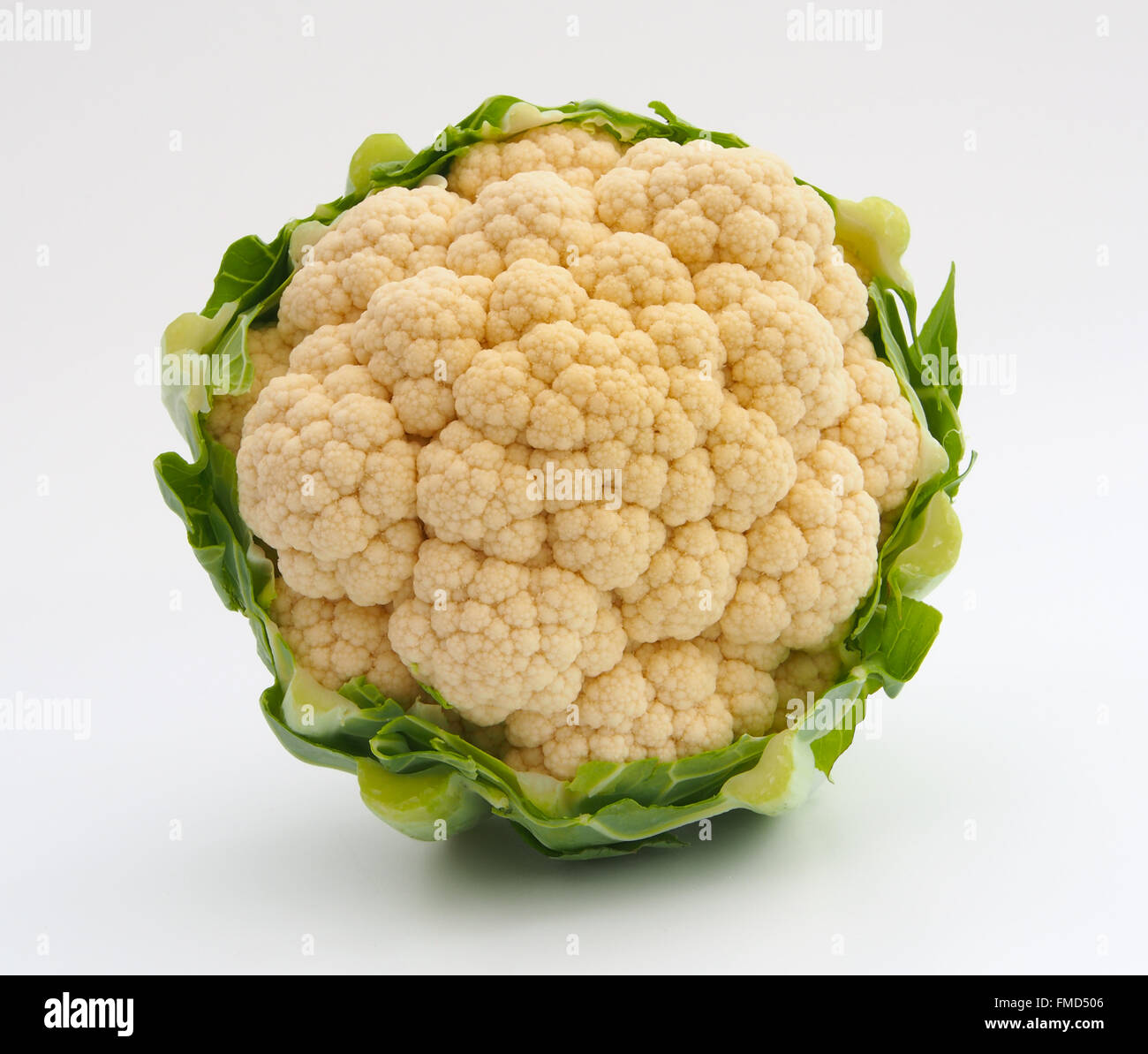 Picture of a cauliflower, studio shot isolated on a white background ...