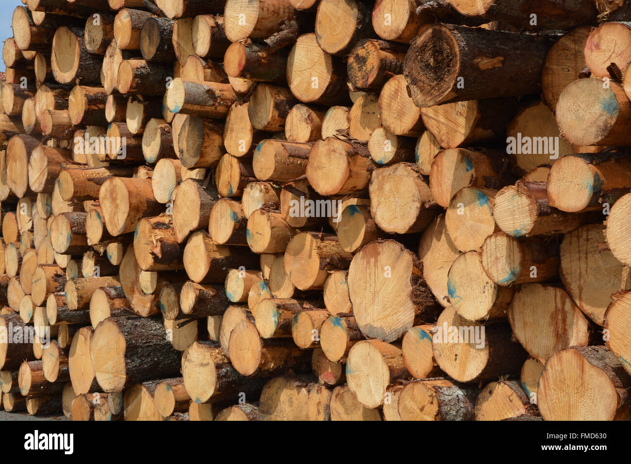 Logs piled high Stock Photo - Alamy