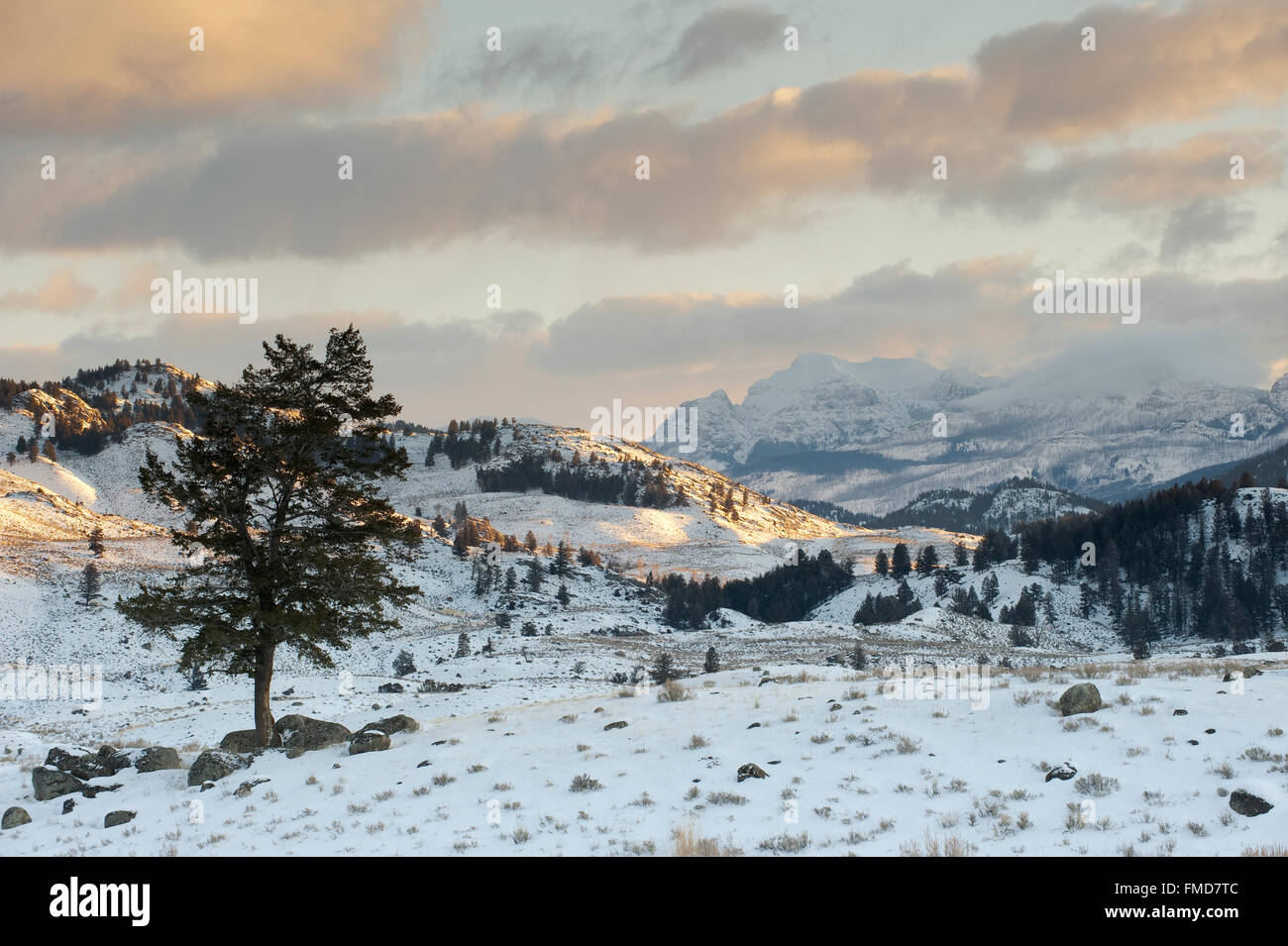 Morning light lights up the clouds and hillsides in Yellowstone ...