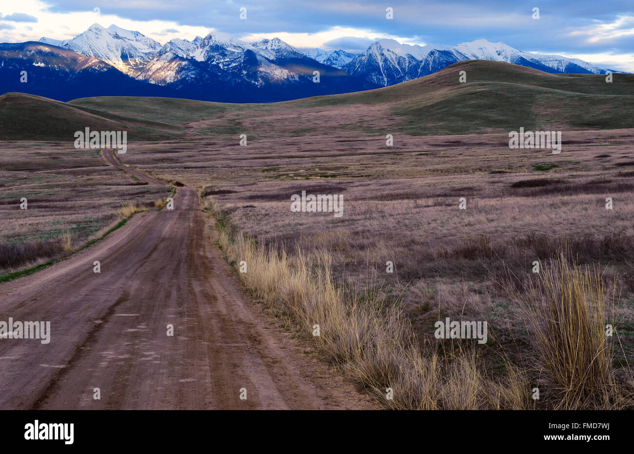 National Bison Range, Western Montana Stock Photo - Alamy