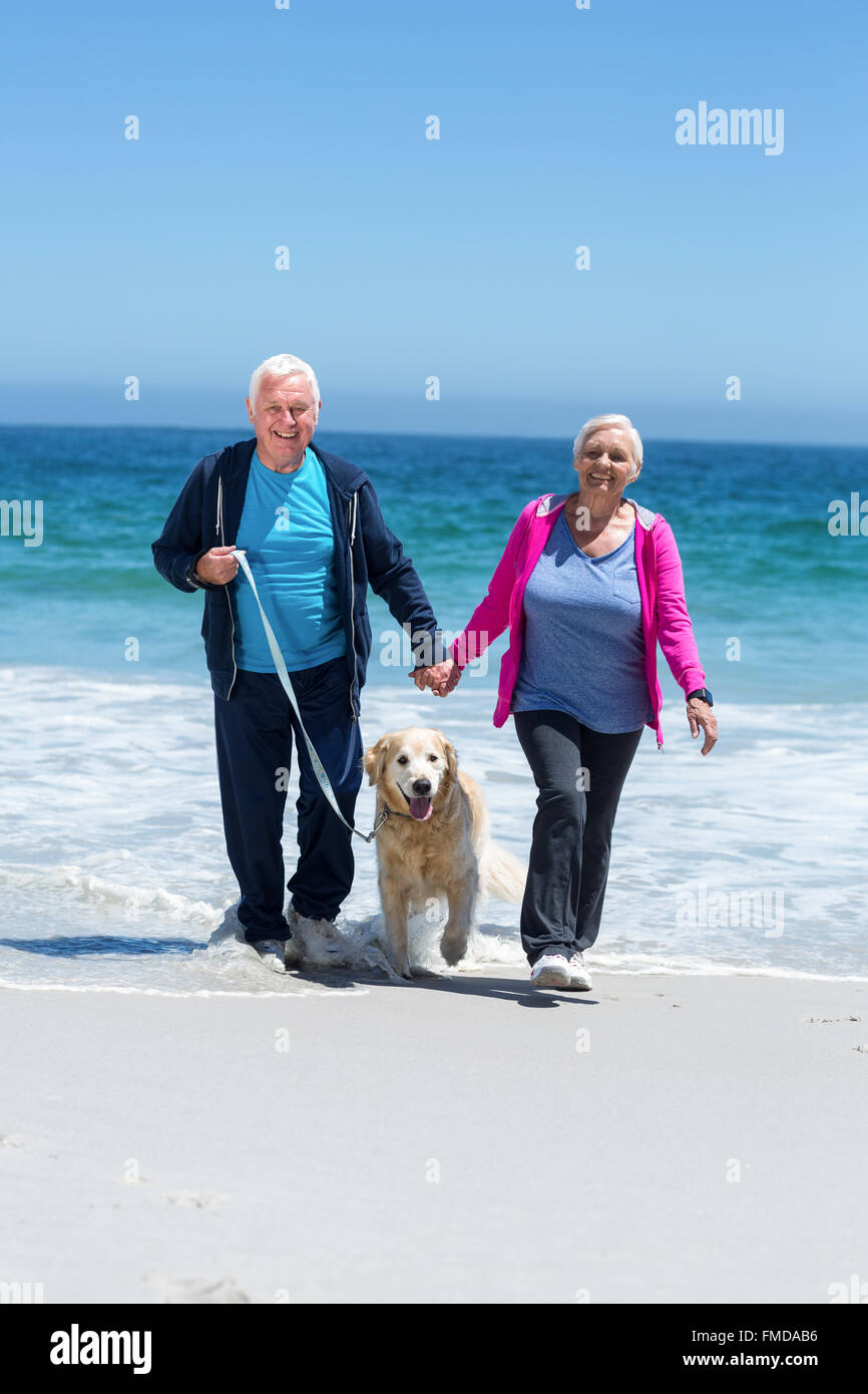 Cute mature couple walking their dog Stock Photo - Alamy