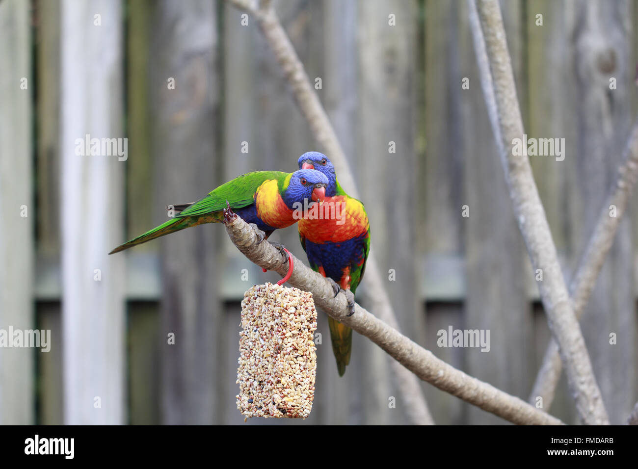 Blurry rainbow hi-res stock photography and images - Alamy