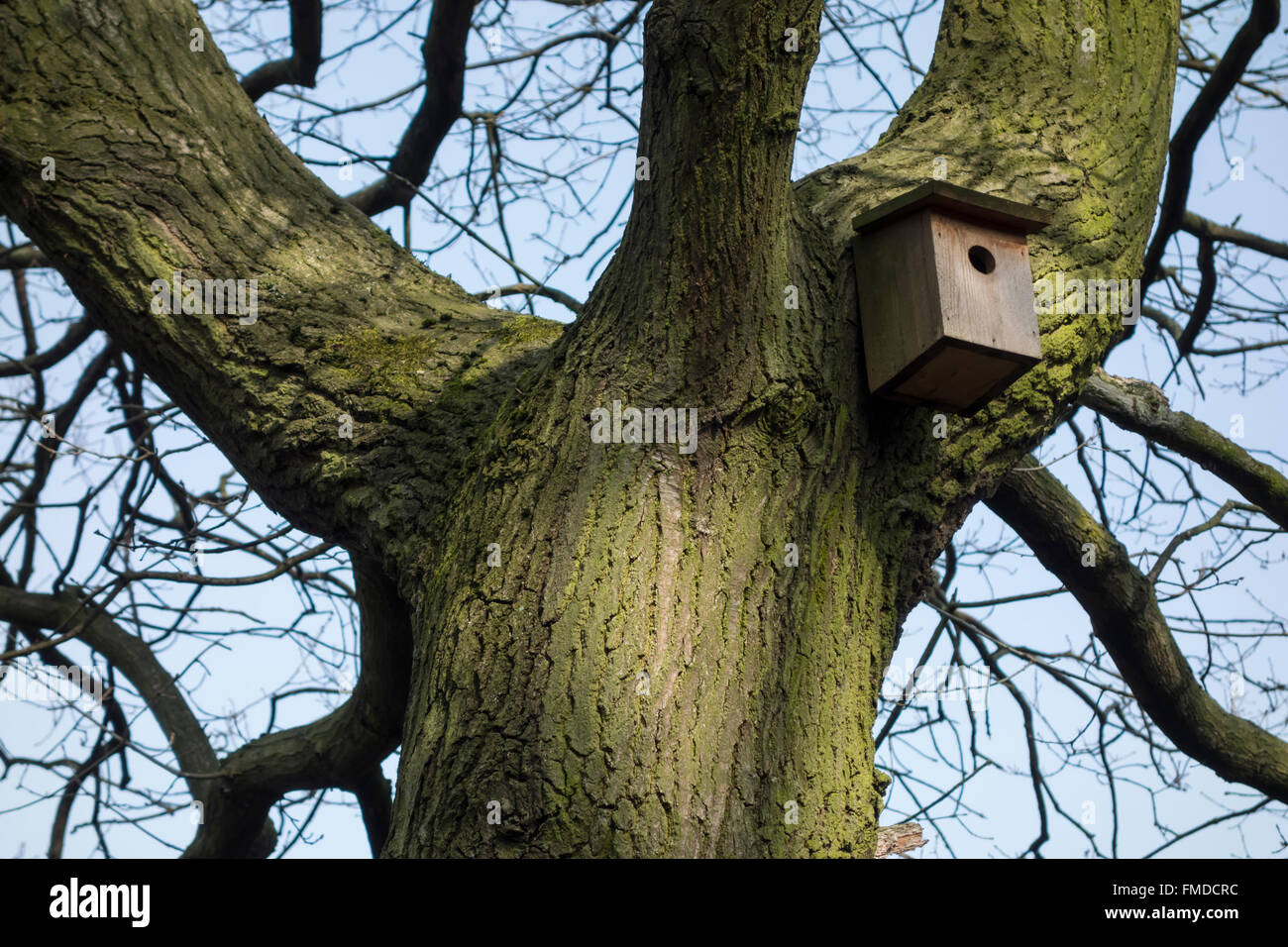 A nesting box fixed to a tree Stock Photo - Alamy