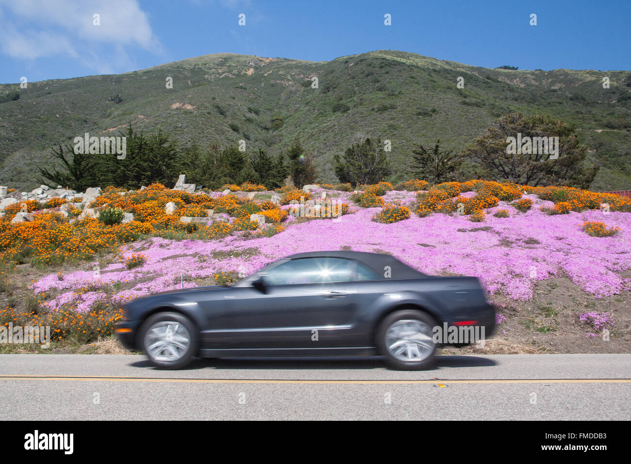 car driving on pacific coast highway,National Highway 101,Pacific Coast ...