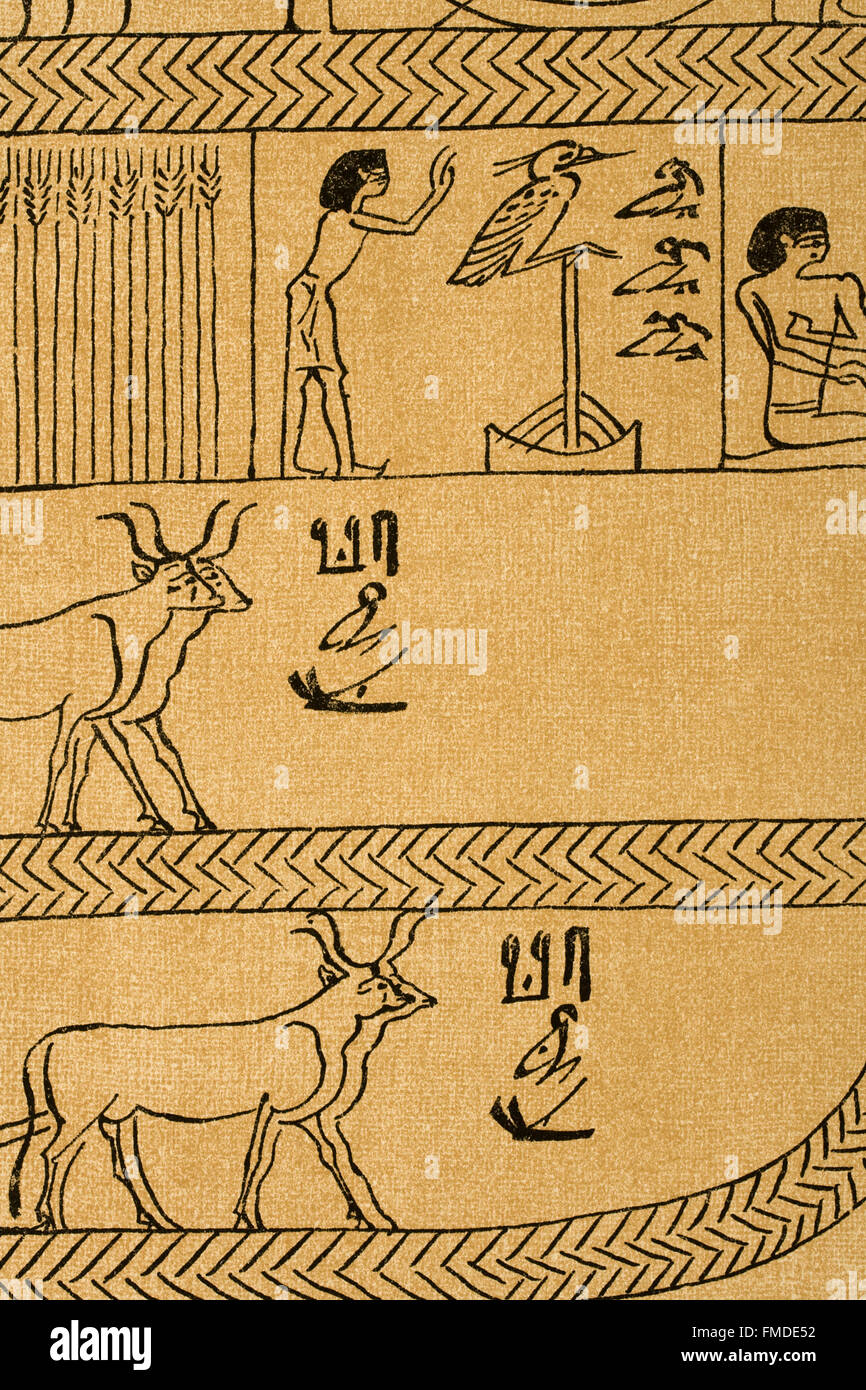 Lithograph of Egyptian hieroglyphs on papyrus Stock Photo - Alamy