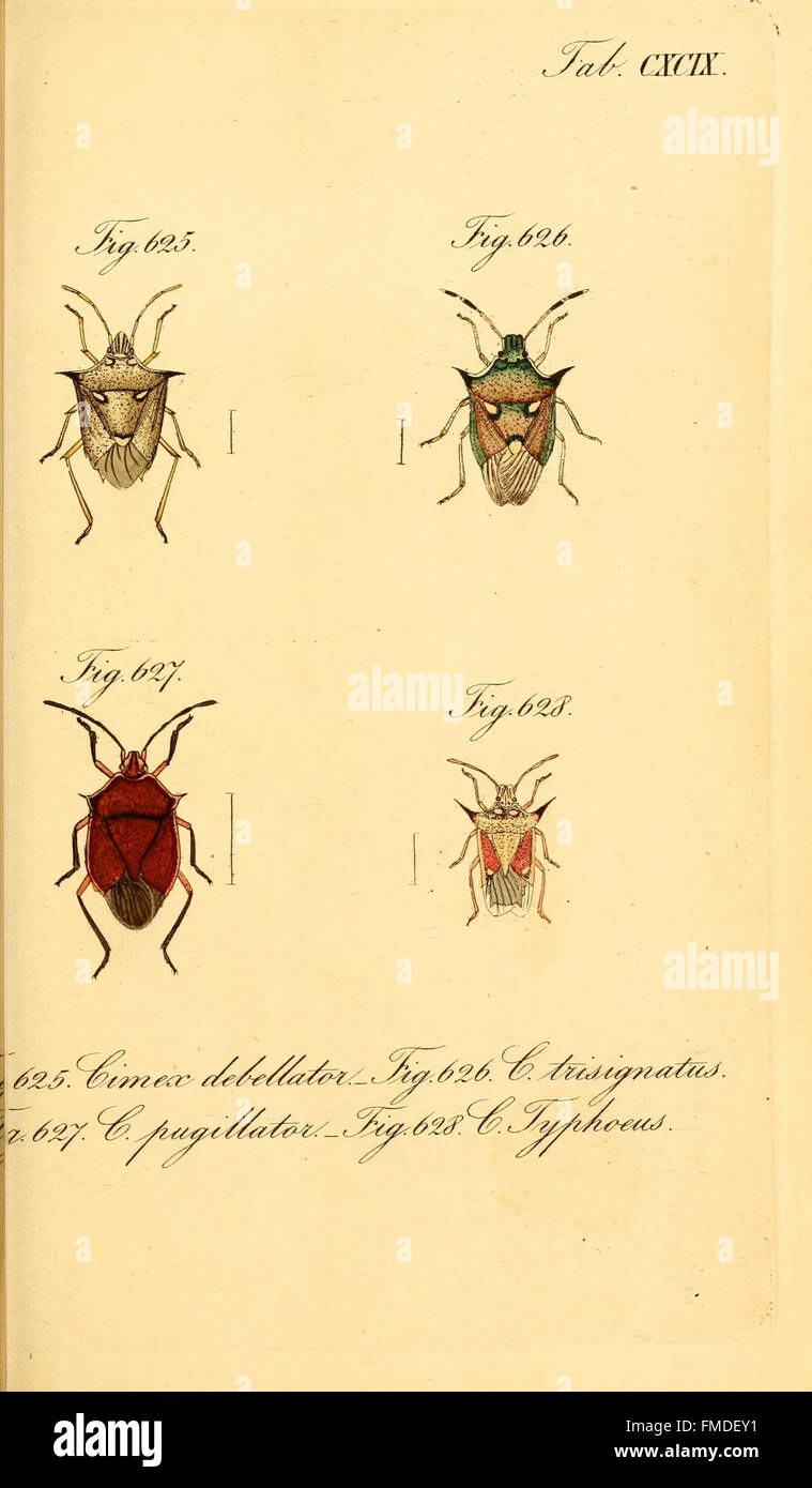 'Die wanzenartigen Insecten' (Tab. CCI) illustrates the various species ...