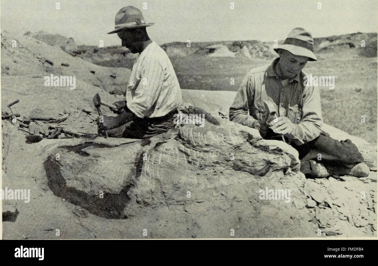 'Dinosaur Hunting in Western Canada' (1966) documents the exploration ...