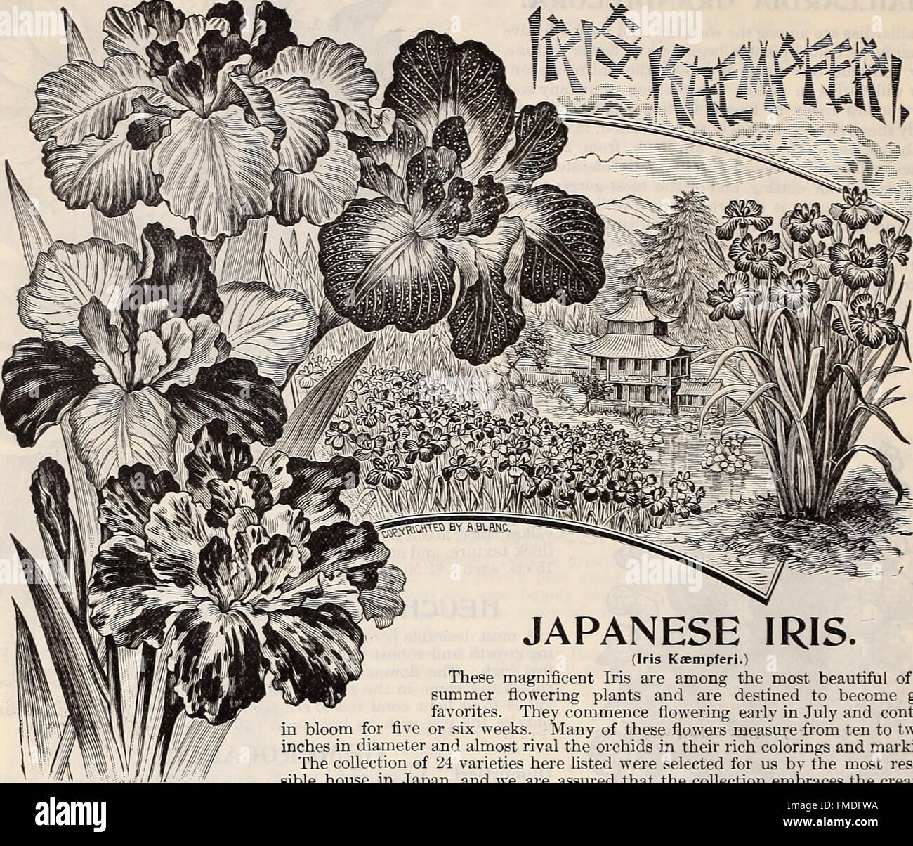 1897 calendar hi-res stock photography and images - Alamy