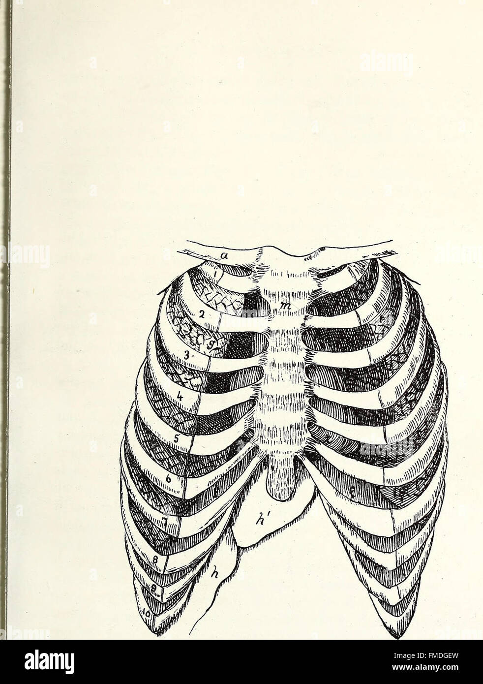 'Education of Deaf-Mutes' (1888) provides a guide for educators working ...