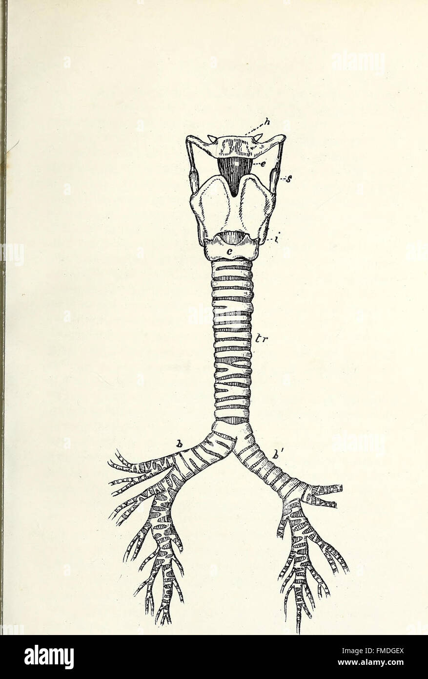 This 1888 manual provides instructional guidelines and techniques for ...
