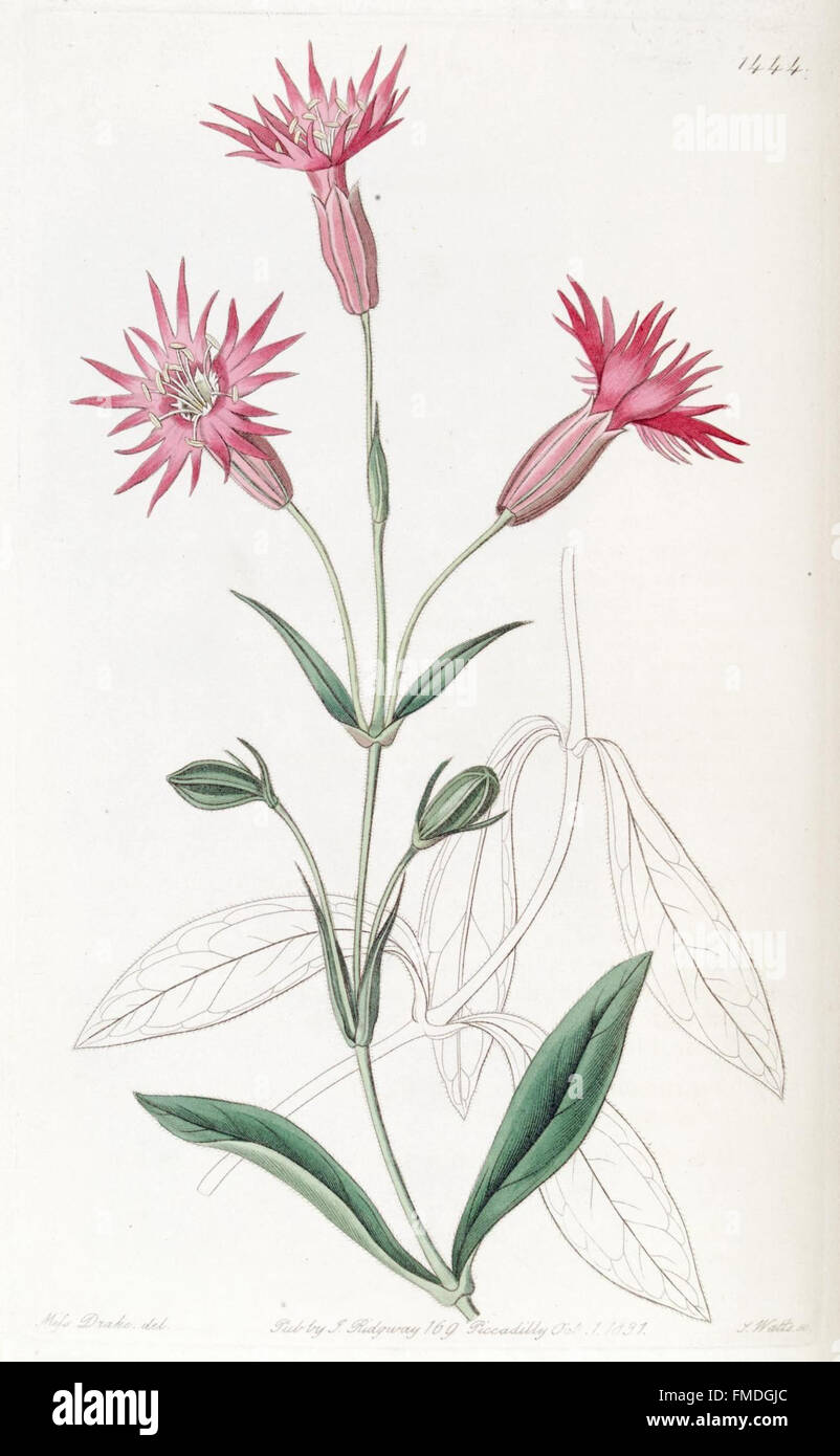 1444 map hi-res stock photography and images - Alamy