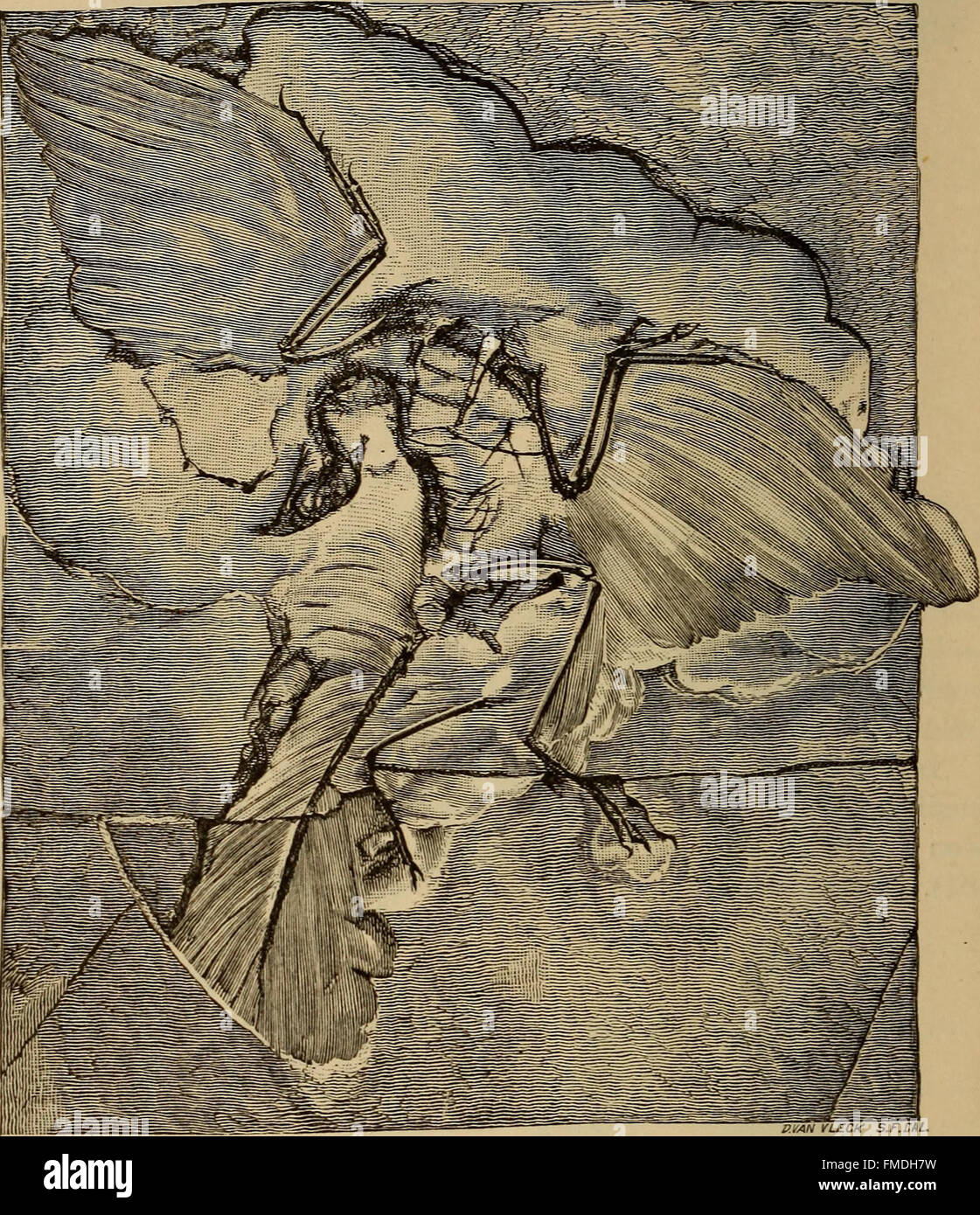 'Elements of Geology' (1892) offers a comprehensive introduction to ...