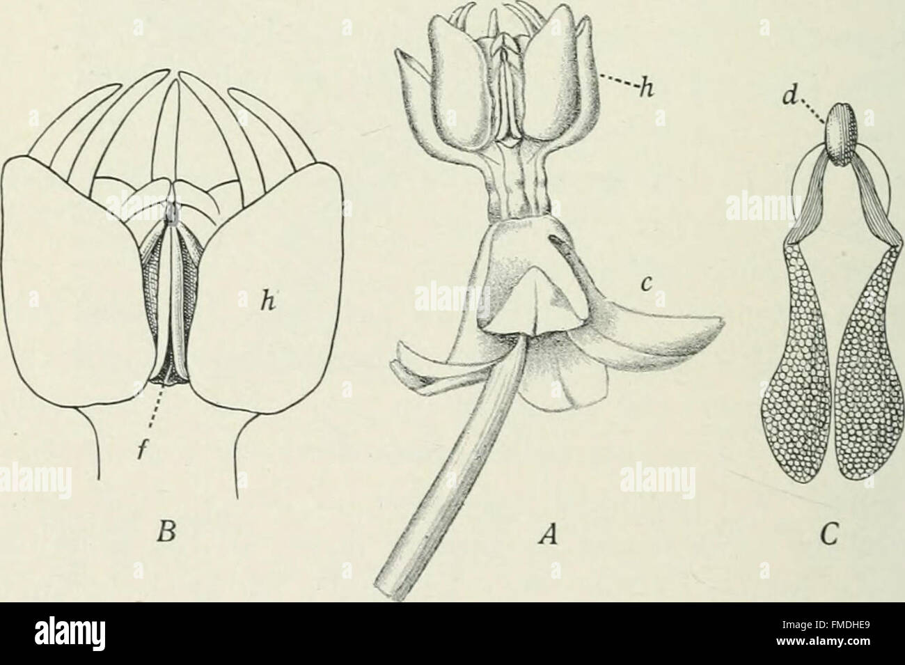 This work covers entomology with a focus on both the biological aspects ...
