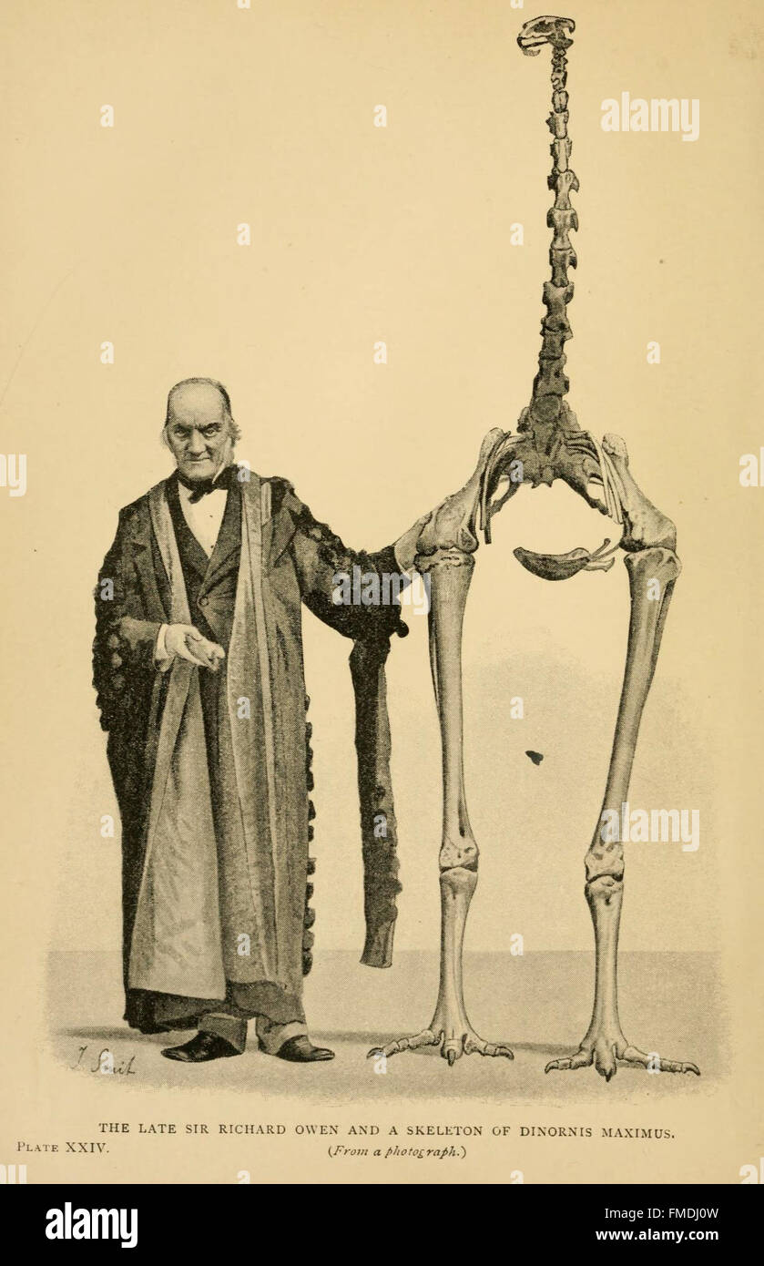 Extinct monsters map hi-res stock photography and images - Alamy