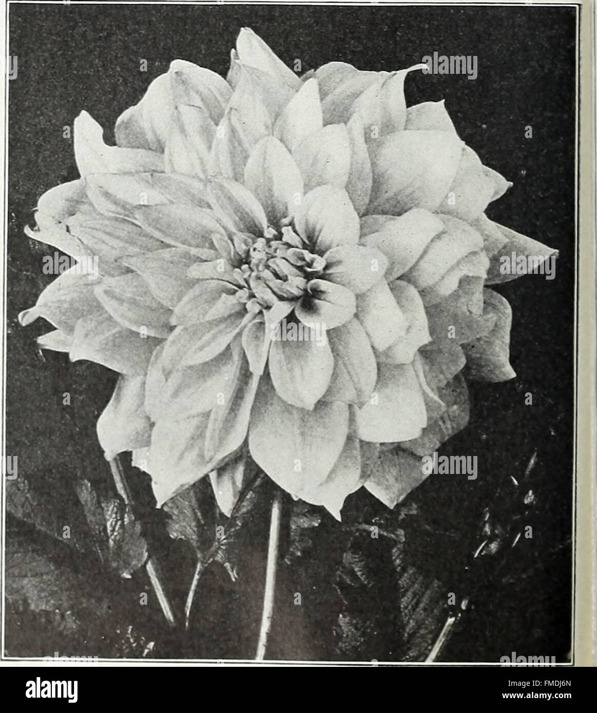 'Farquhar’s Garden Annual' (1922) is a gardening reference book ...