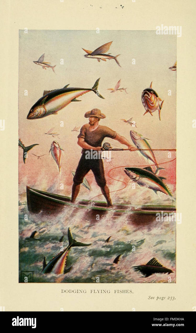 'Fish Stories Alleged and Experienced' (Plate 1) compiles various ...