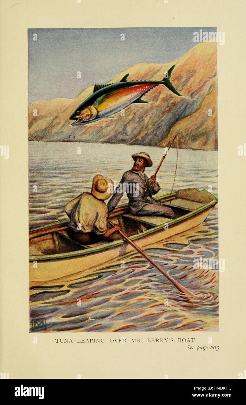 Plate 18 from 'Fish Stories Alleged and Experienced' provides a visual ...