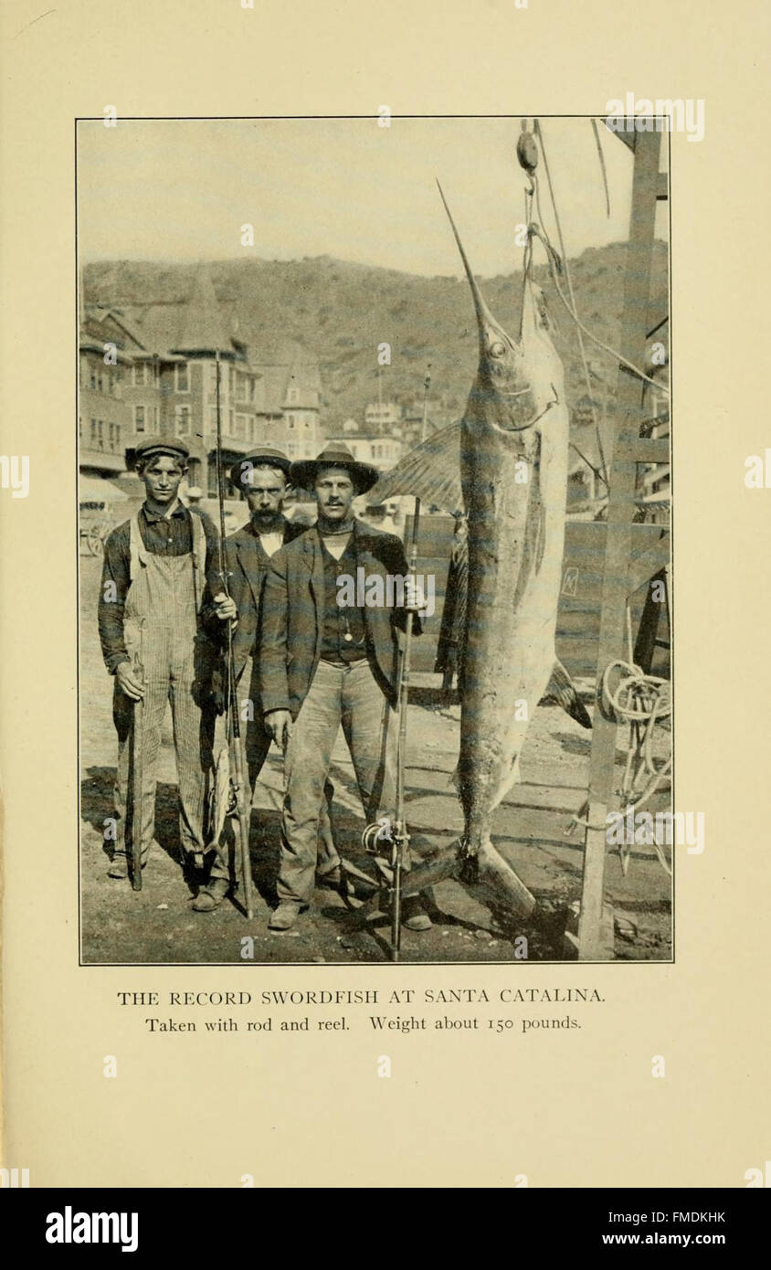 'Fish Stories Alleged and Experienced' (Plate 20) includes ...