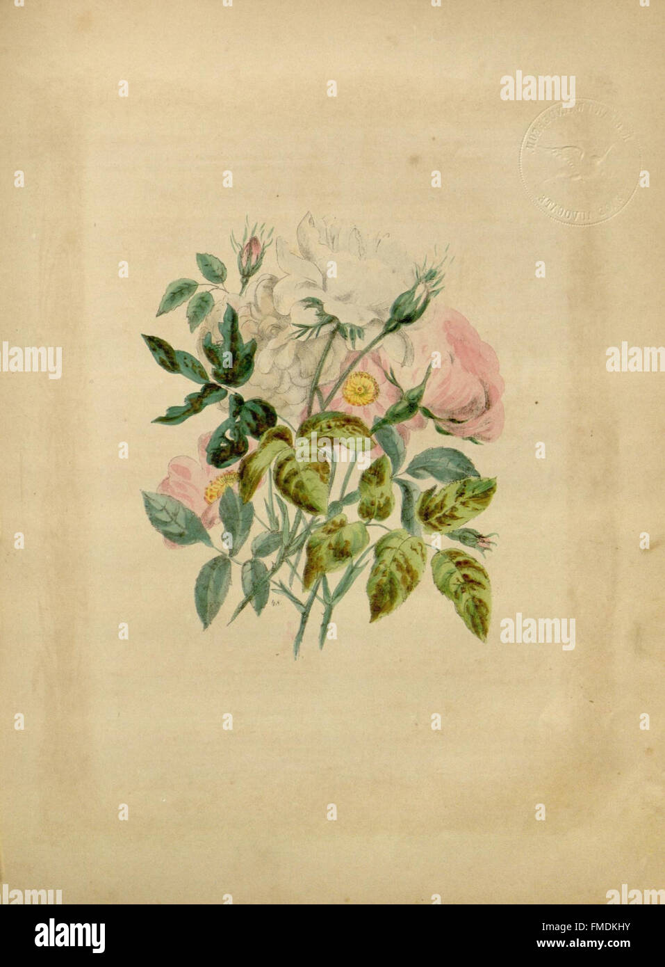 'Flora's Dictionary' provides a comprehensive guide to plant species ...