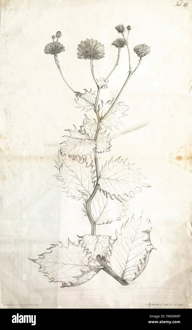 United states map 1860 hi-res stock photography and images - Alamy