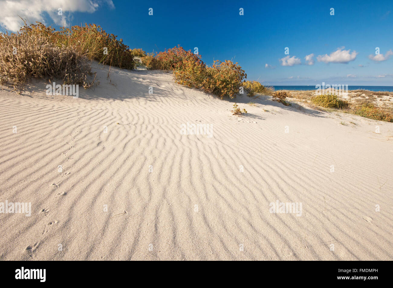 Siniscola,Sardinia,Italy, 10/2012. Sand dunes at Capo Comino beach in a ...