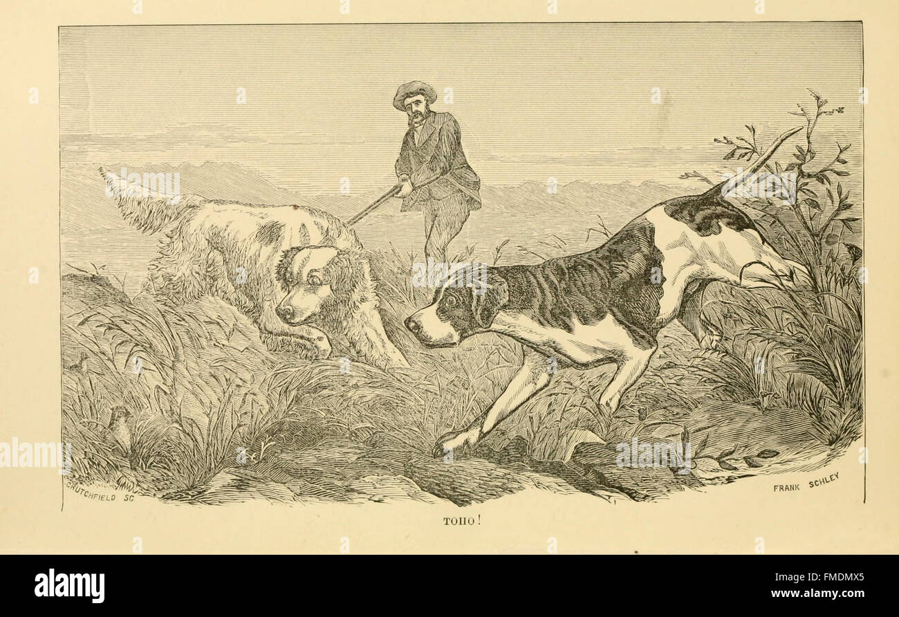 This illustration by Frank Schley captures an early 20th-century ...