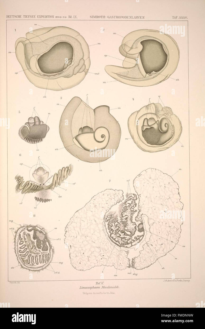 This scientific work, published as part of the German Deep Sea ...