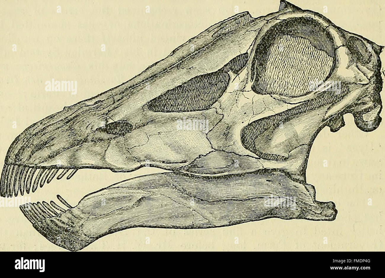 The 'Geological Magazine' (1884) is a scientific publication focused on ...