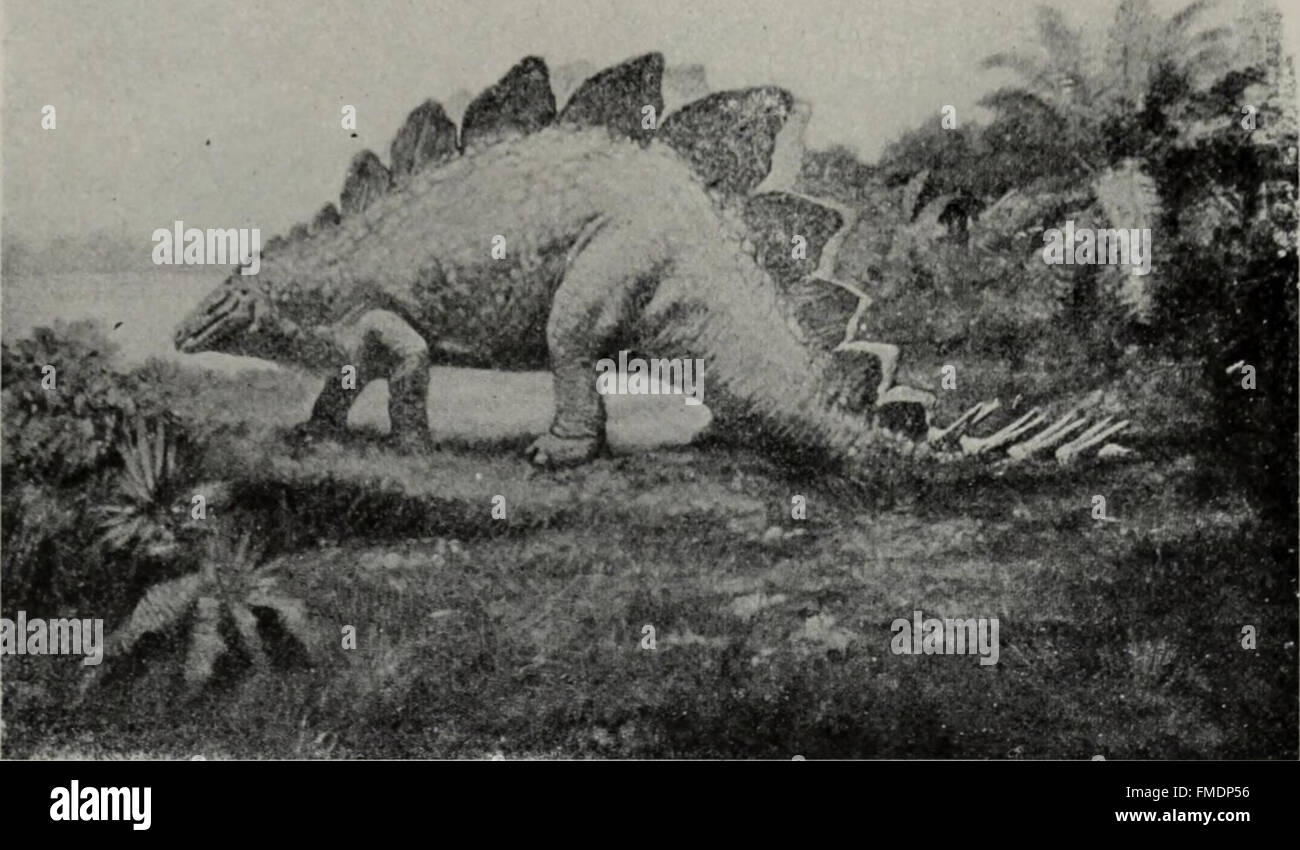 This 1907 text provides a comprehensive study of geology, covering key ...